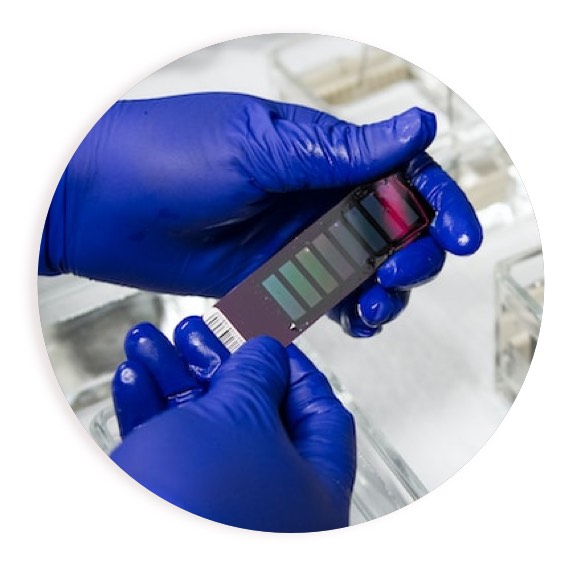 MedLabZone HealthCare